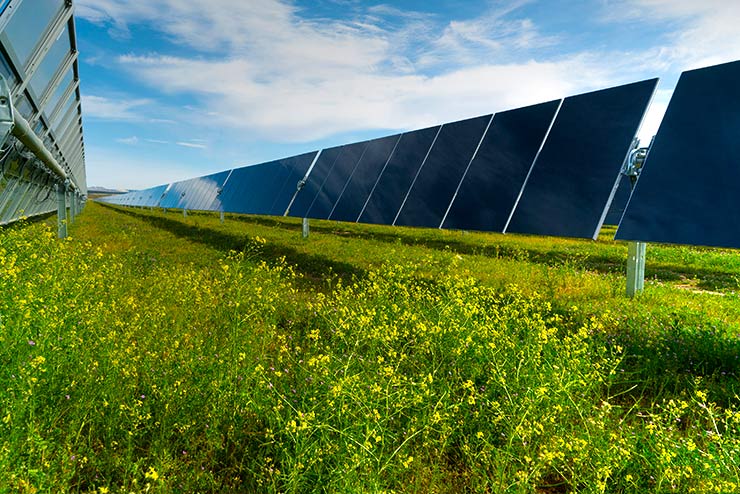 First Solar firma un PPA con Cleantech Solar in India