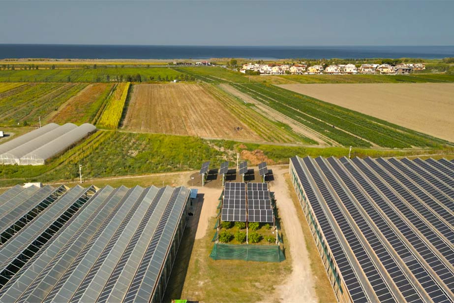 Agrivoltaico: al via impianto hitech ENEA/EF Solare Italia