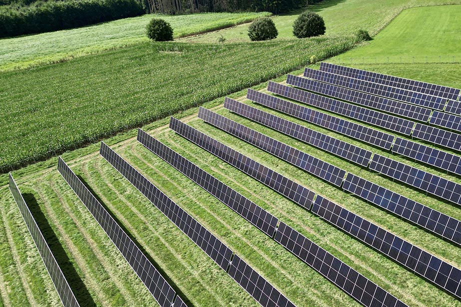 Agrivoltaico: energia rinnovabile e agricoltura insieme
